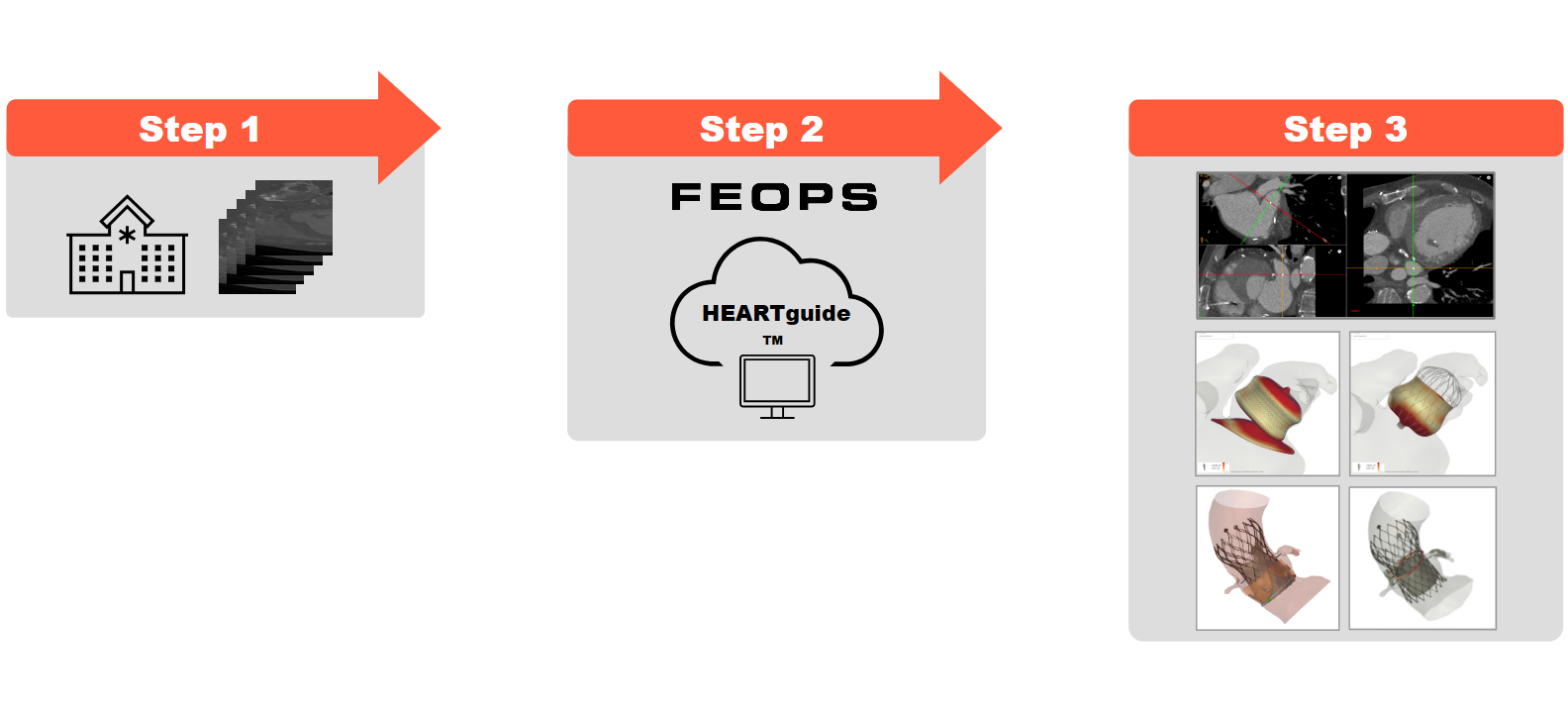 Healthcare professionals - FEops