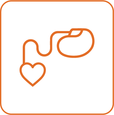 PRECISE-TAVI - FEops