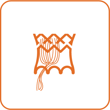 PRECISE-TAVI - FEops